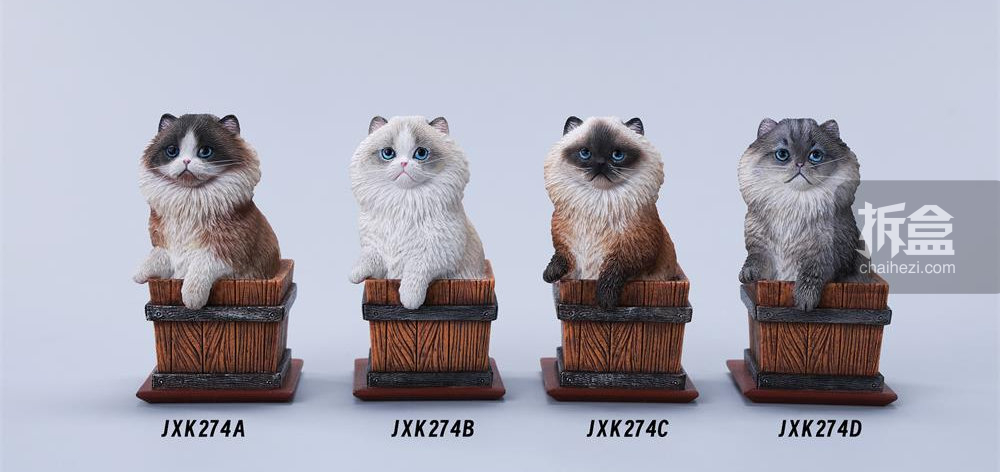 JXK 木箱猫 静态动物模型 共4款 1/6 GK手办 雕像 - 拆盒